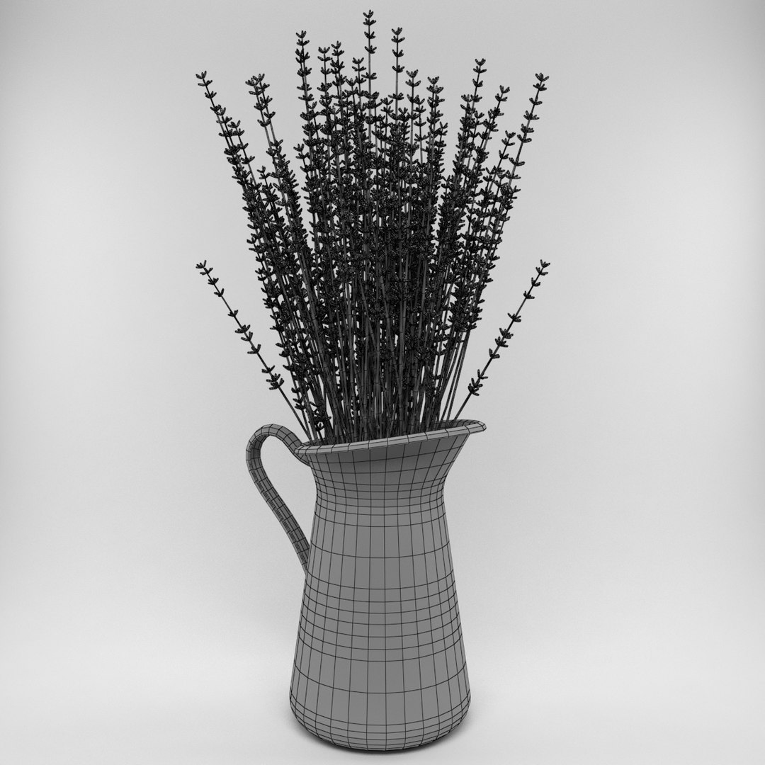 Lavender Flower 3d Model