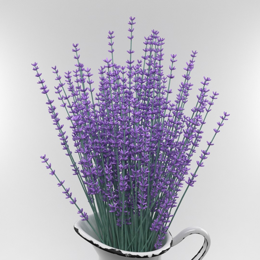 Lavender Flower 3d Model