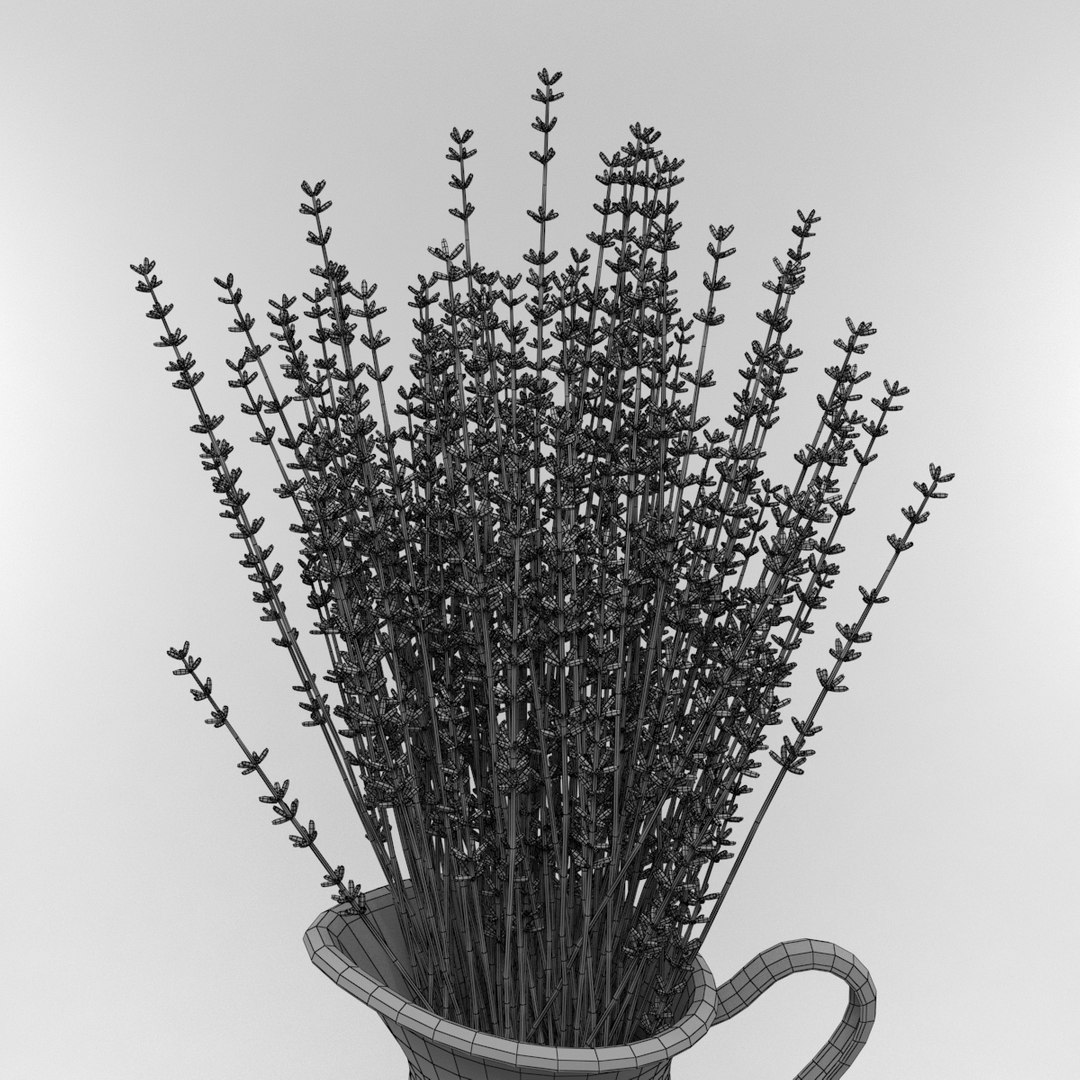 Lavender Flower 3d Model