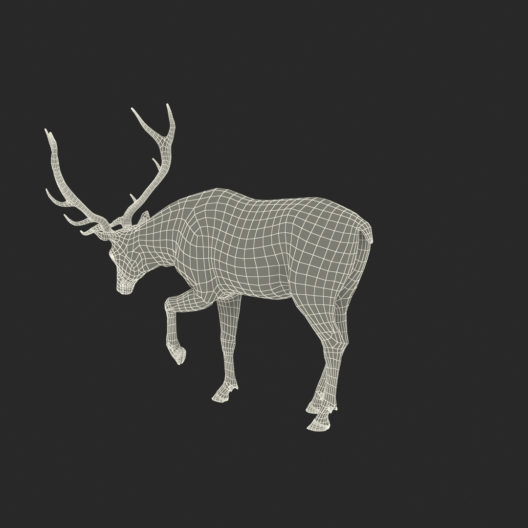 3d Elk Pose 4 Model