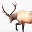3d Elk Pose 4 Model