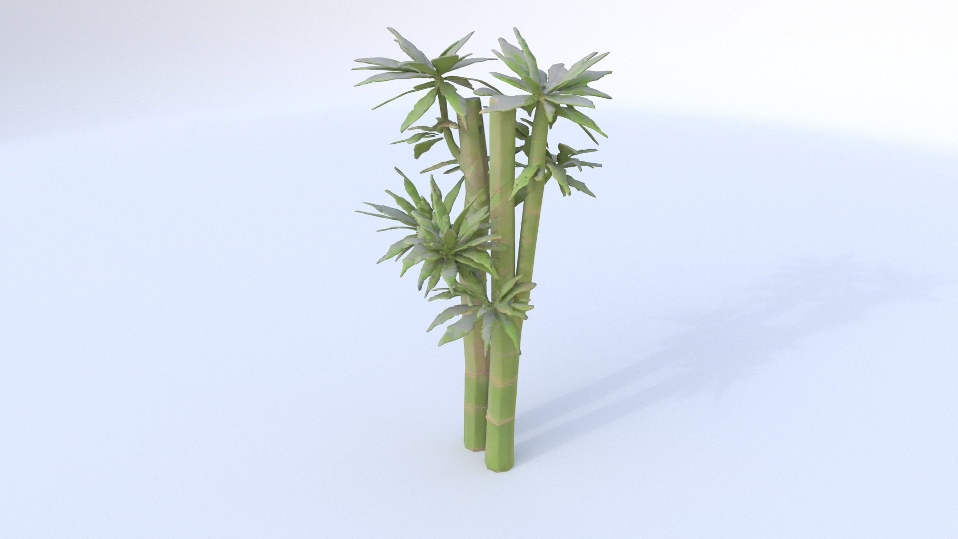 Bamboo 3D Model - TurboSquid 2333048
