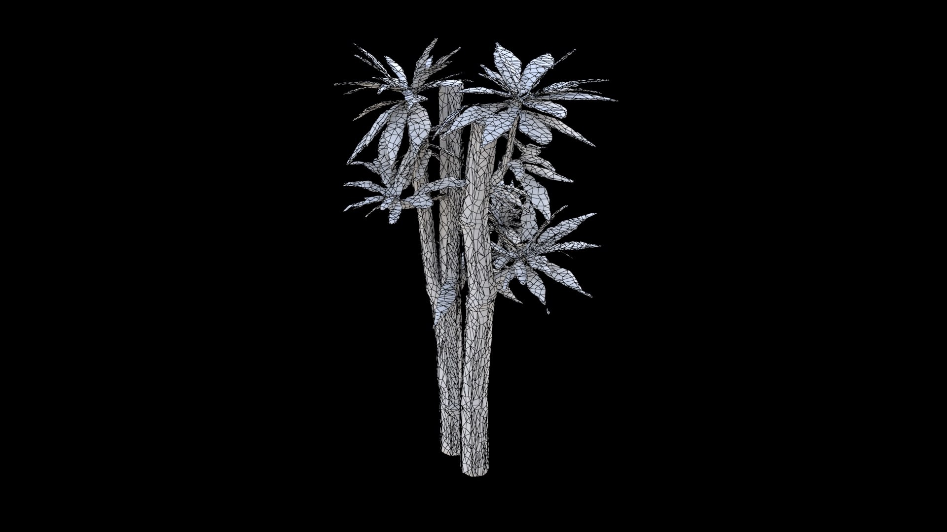 Bamboo 3D Model - TurboSquid 2333048
