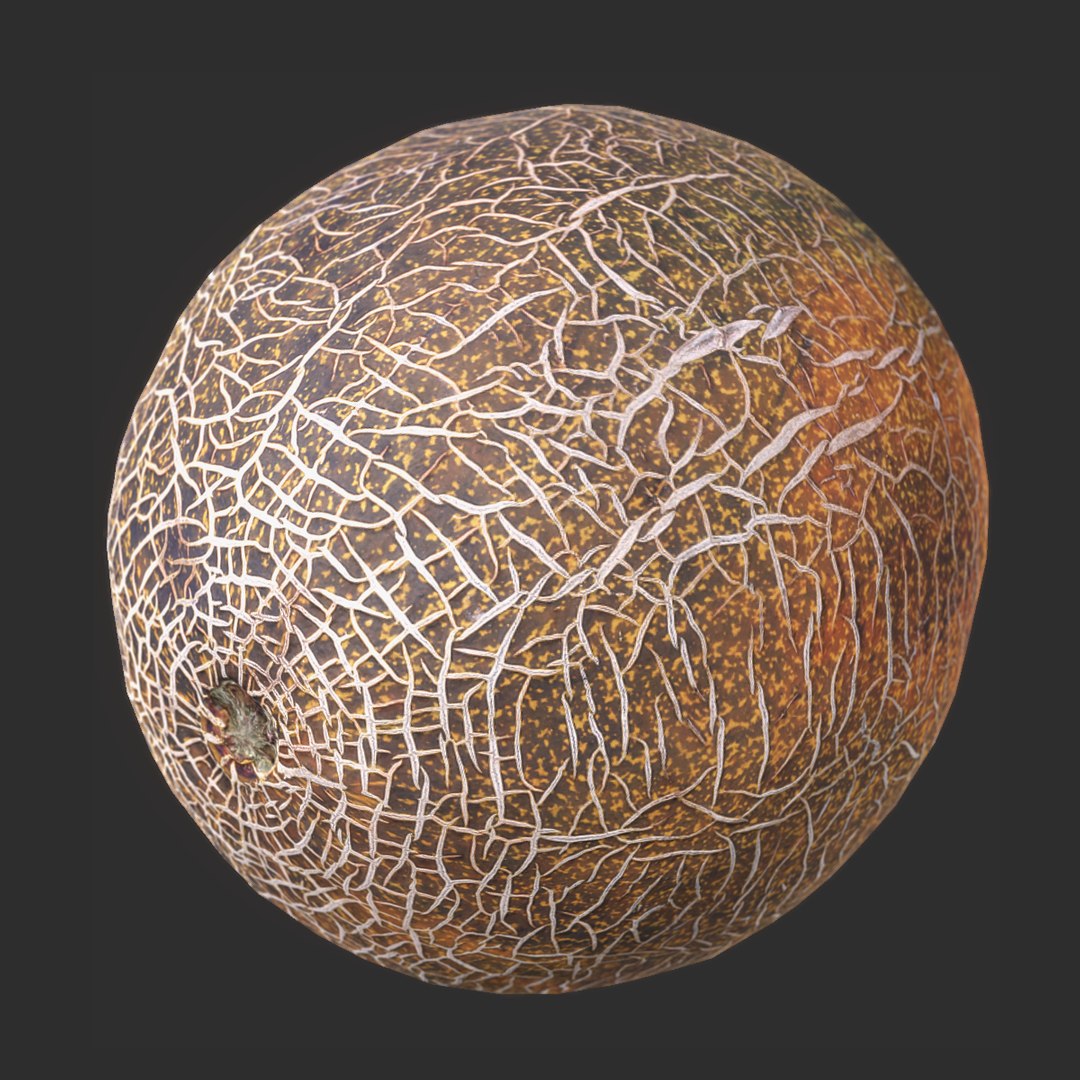 melon scan 3d model