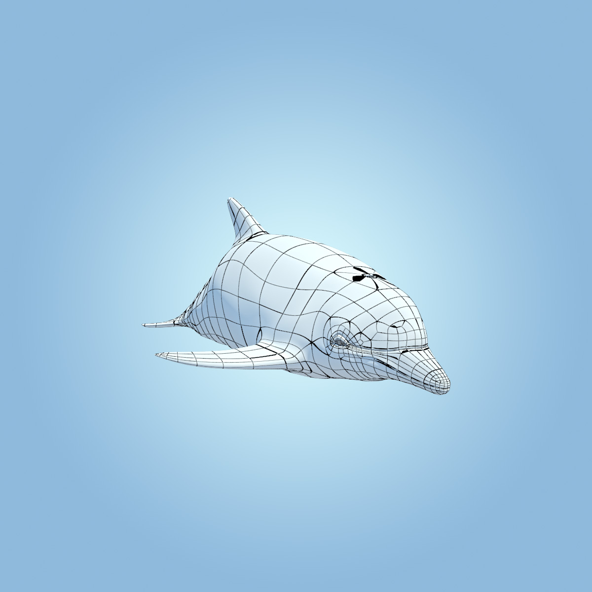 dolphin 3d model