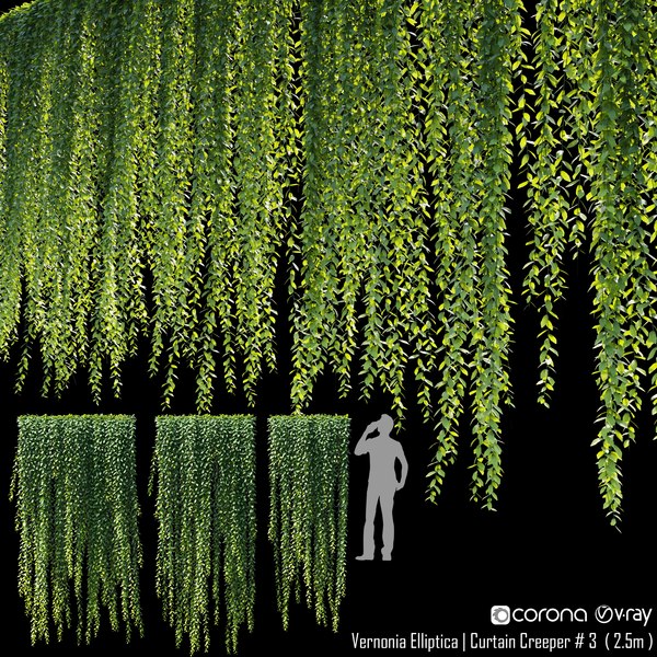 Plants Creeper 3D Models for Download | TurboSquid