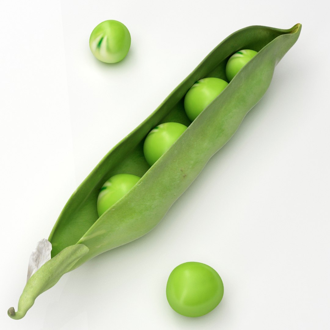 3d Model Peas
