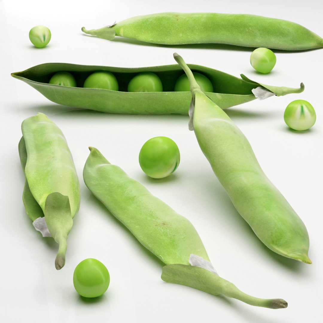 3d Model Peas