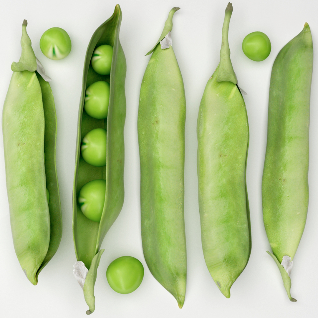 3d model peas