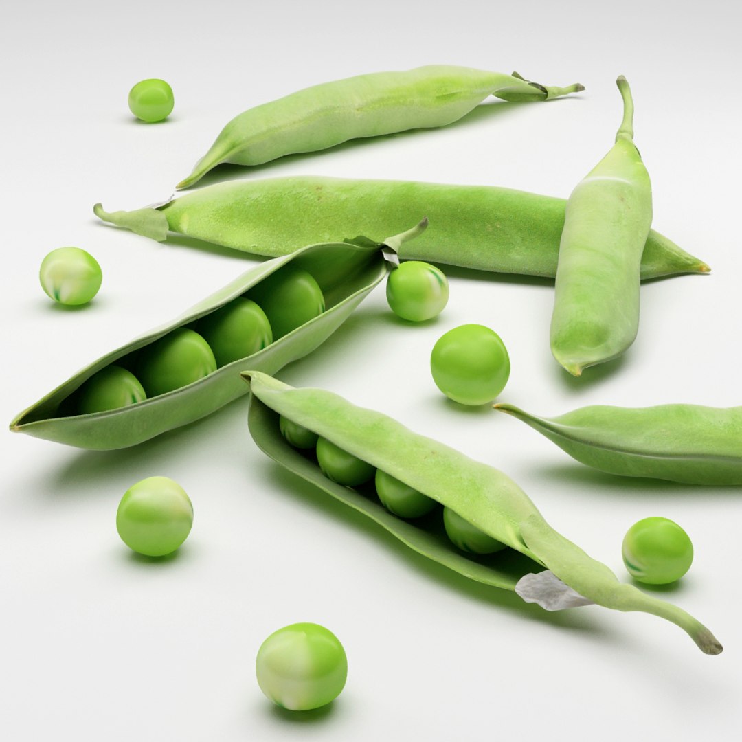 3d Model Peas
