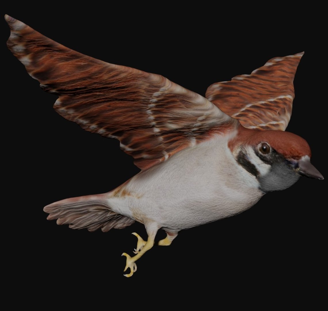 Rigged Flying Bird 3D - TurboSquid 1685004