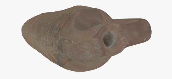 modelo 3d Ánfora medieval 01 Escaneo RAW - TurboSquid 1793540
