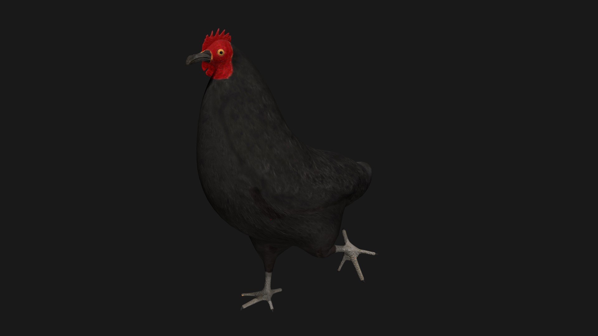 3D Chicken Rigged Model - TurboSquid 1664725