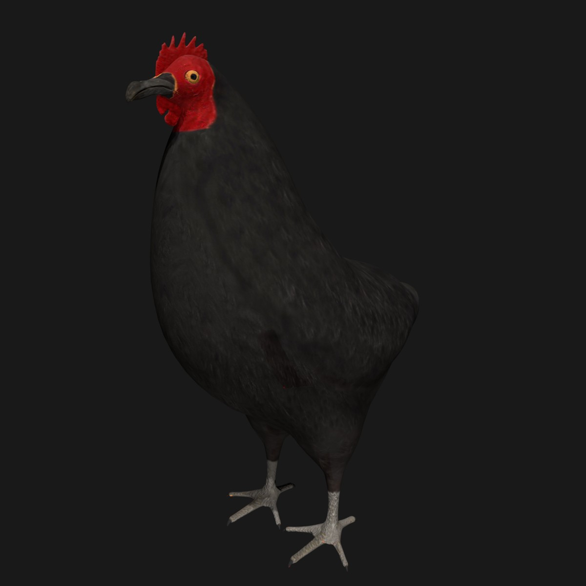 3D chicken rigged model - TurboSquid 1664725