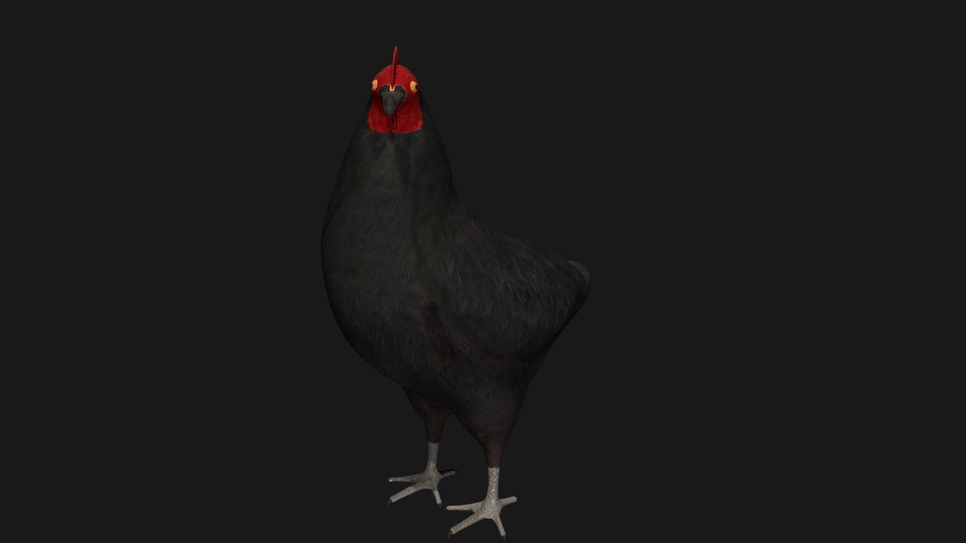 3D Chicken Rigged Model - TurboSquid 1664725