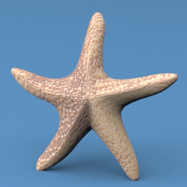 Cartoon Starfish 3D Models for Download | TurboSquid