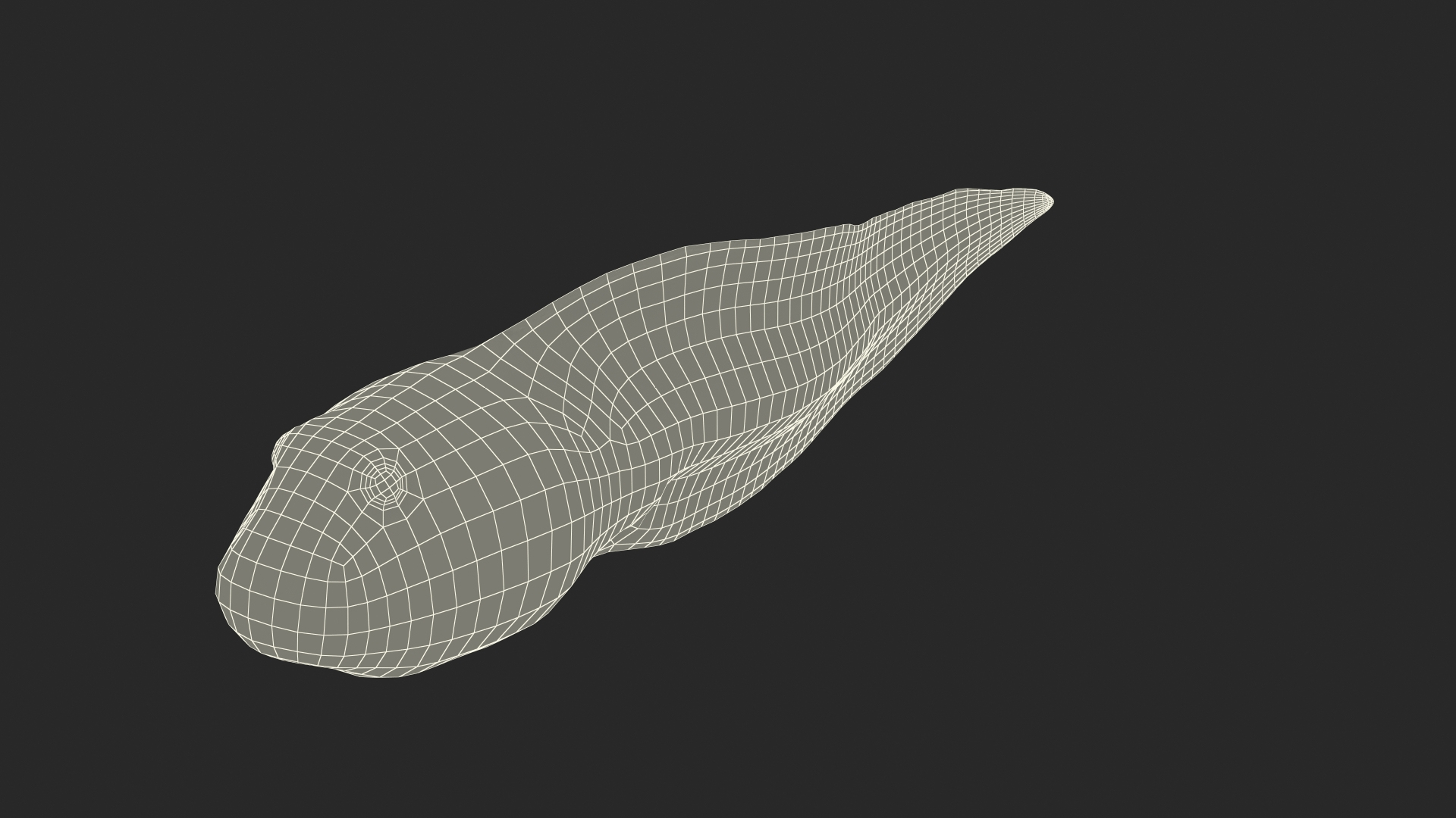 3D Model Rigged Tadpole - TurboSquid 1712977