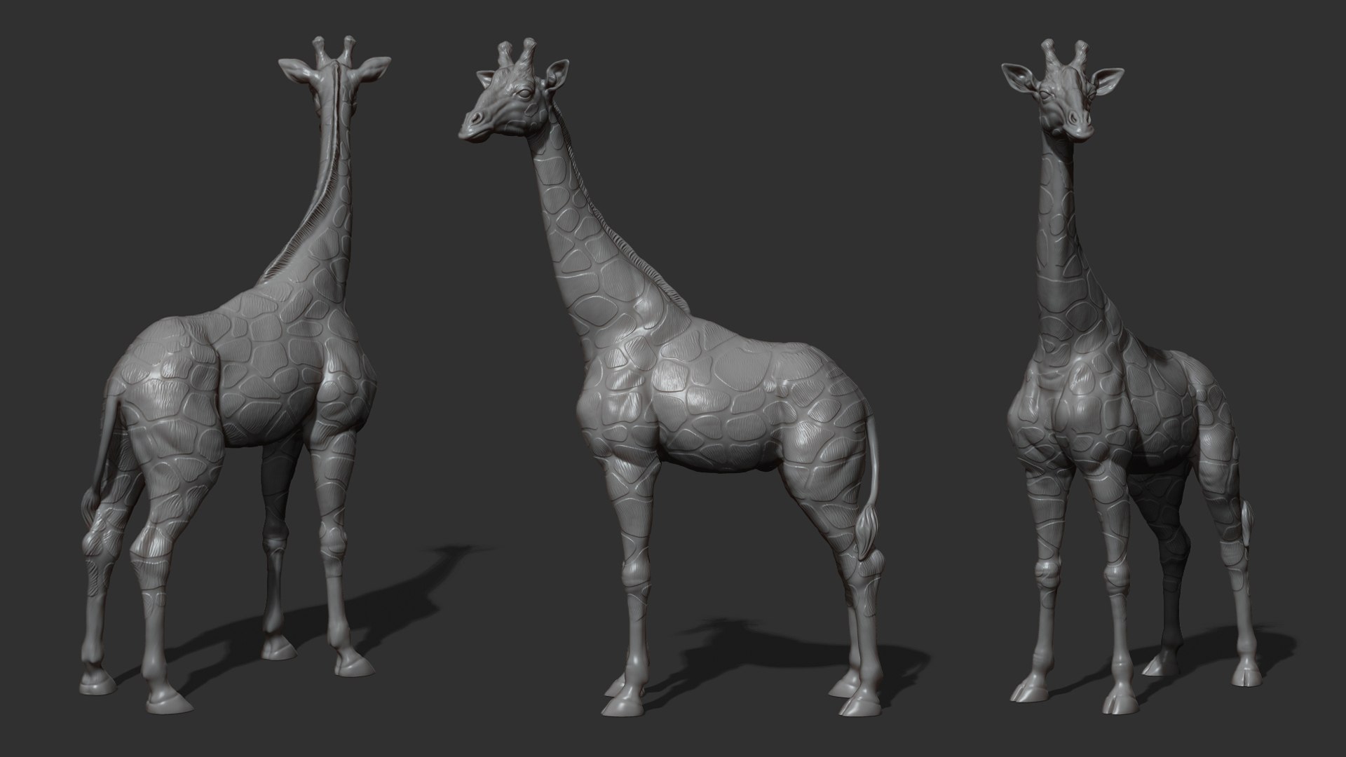 Giraffe Full-length Model - TurboSquid 2240100