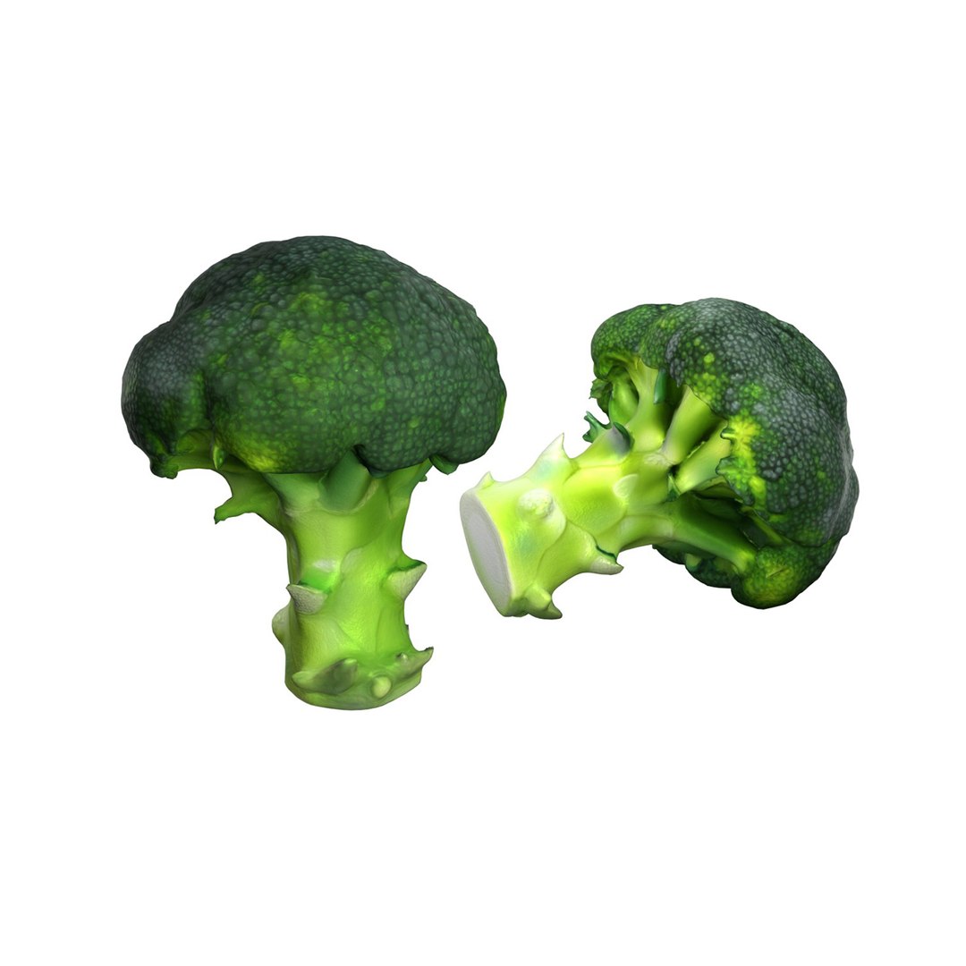 3D Model Broccoli V2 - TurboSquid 2370456