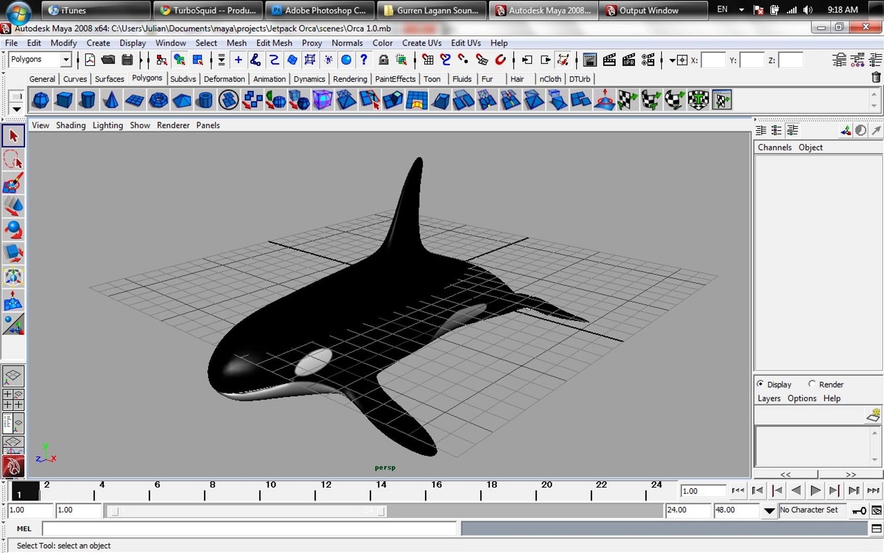 Maya Orca Whale