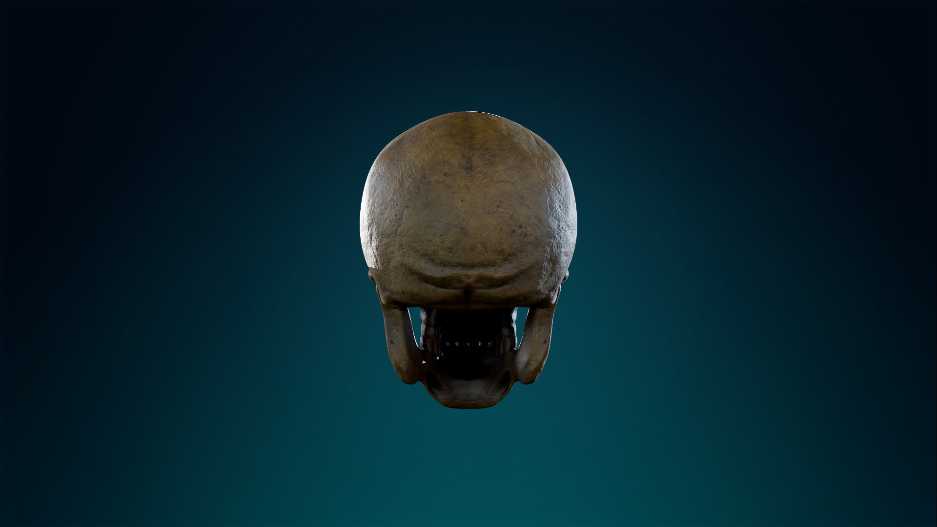 3D Human Skeleton Skull - Ancient - Lowpoly - Game Ready Model ...