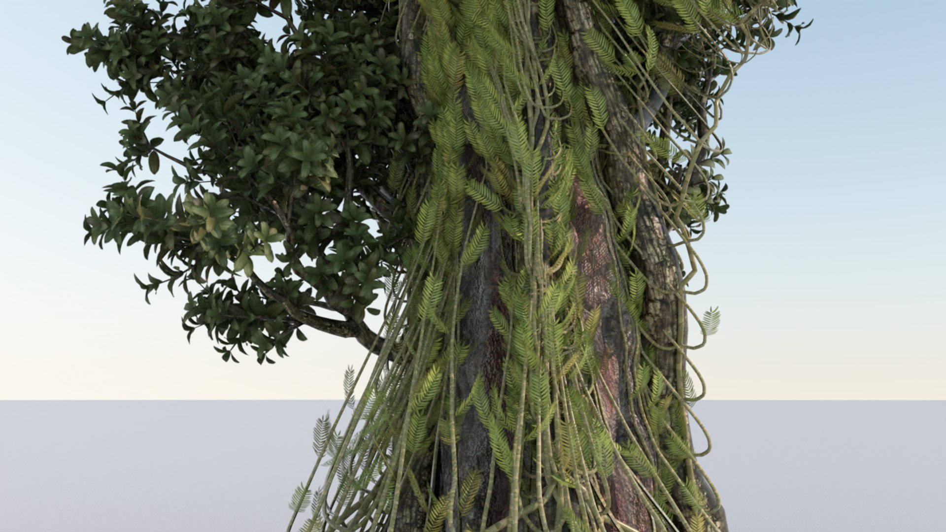 Big Tree 3D Model - TurboSquid 1602709