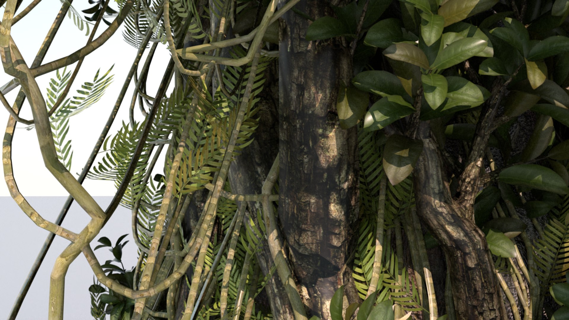 Big Tree 3D Model - TurboSquid 1602709