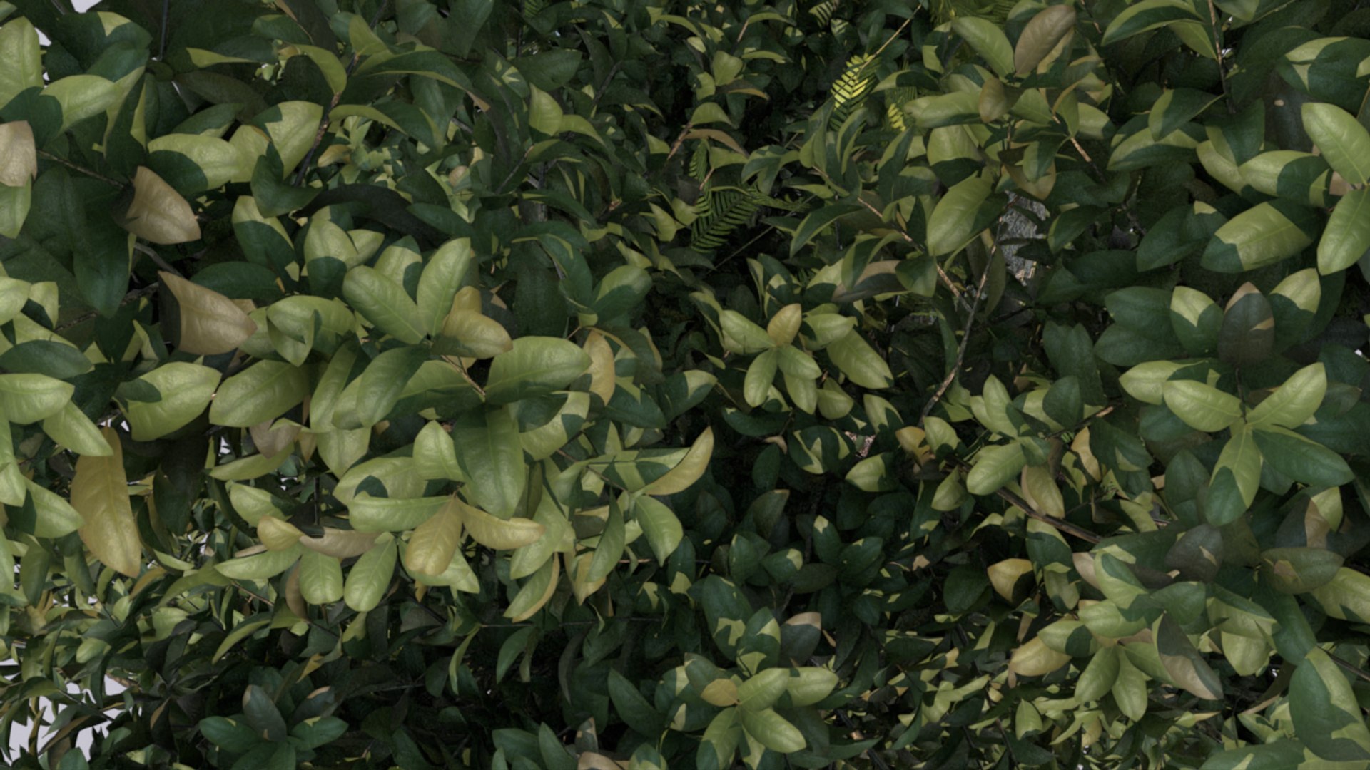 Big Tree 3D Model - TurboSquid 1602709