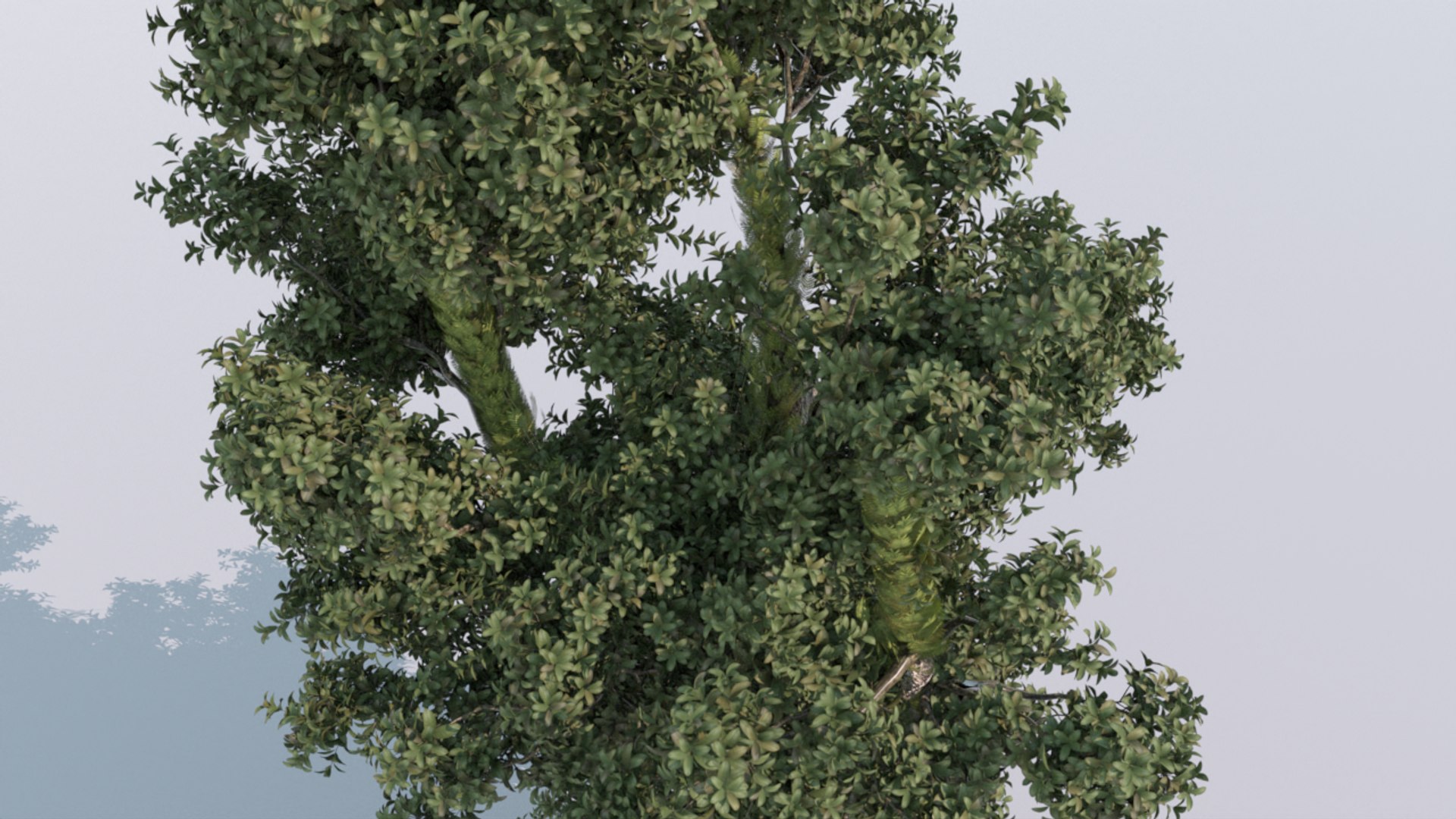 Big Tree 3D Model - TurboSquid 1602709