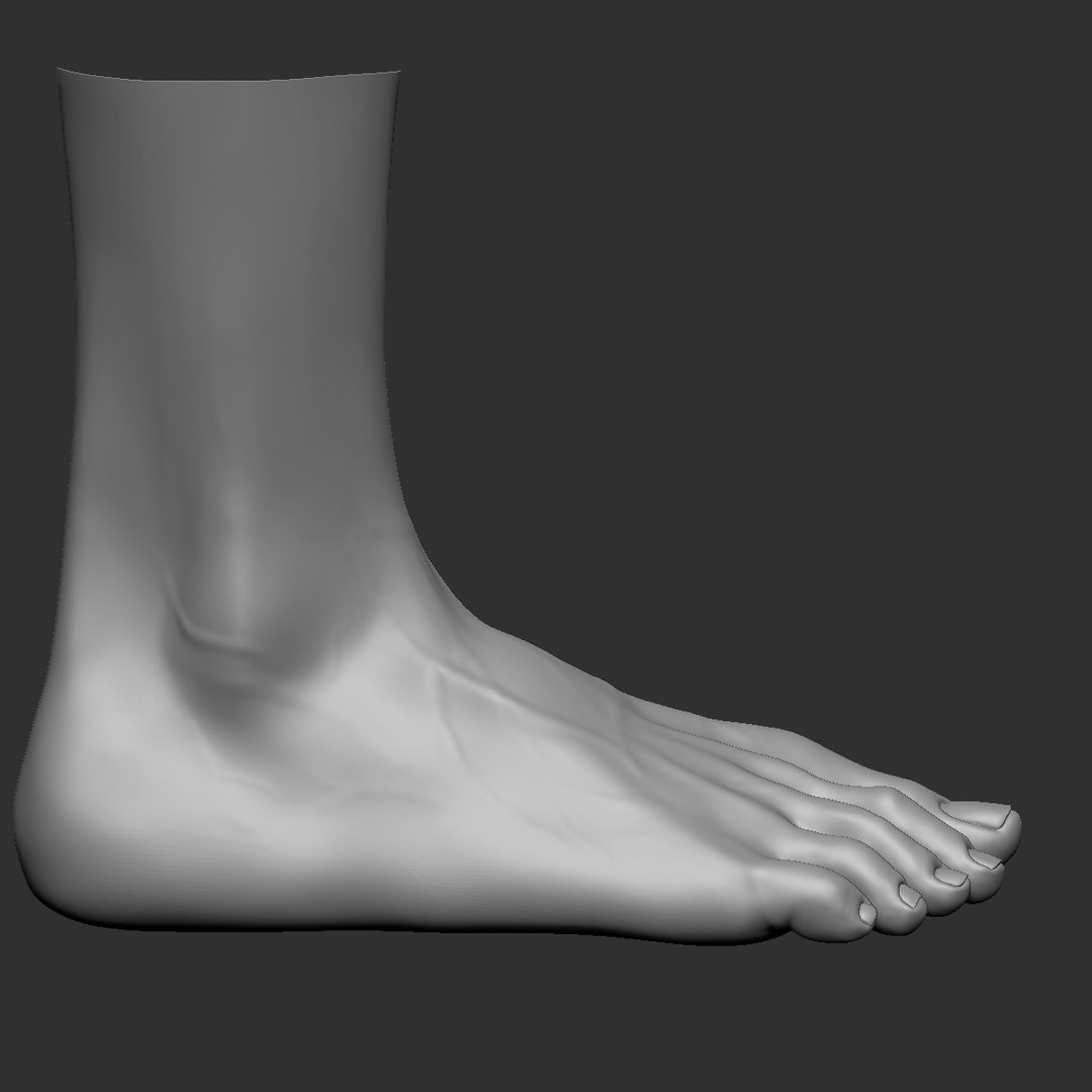 3D Beauty Foot Model - TurboSquid 1218498