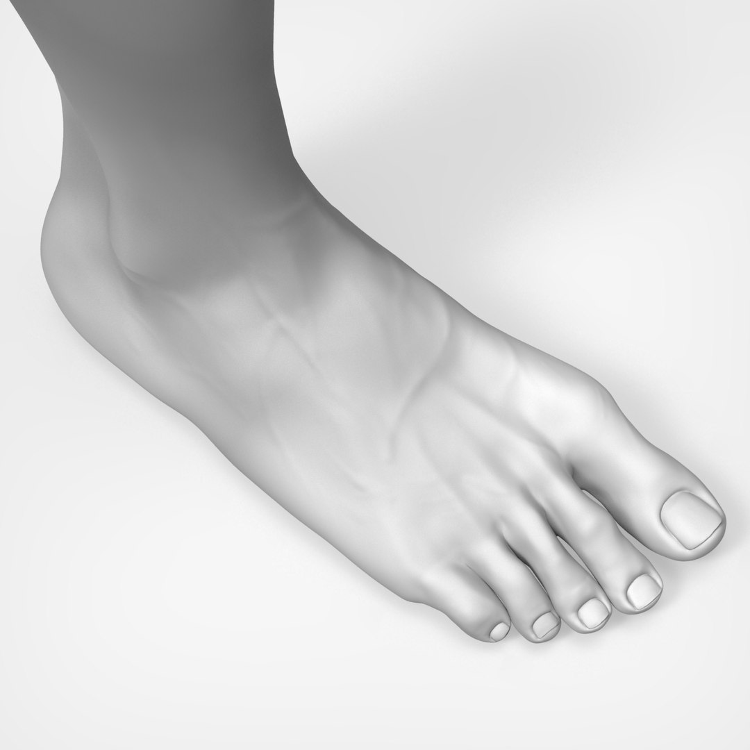 3D Beauty Foot Model - TurboSquid 1218498