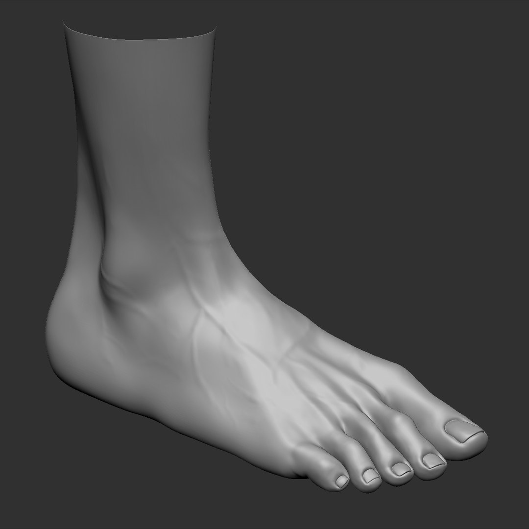 3D Beauty Foot Model - TurboSquid 1218498
