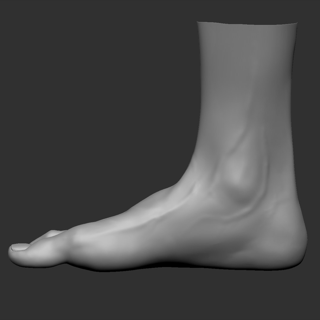 3D Beauty Foot Model - TurboSquid 1218498