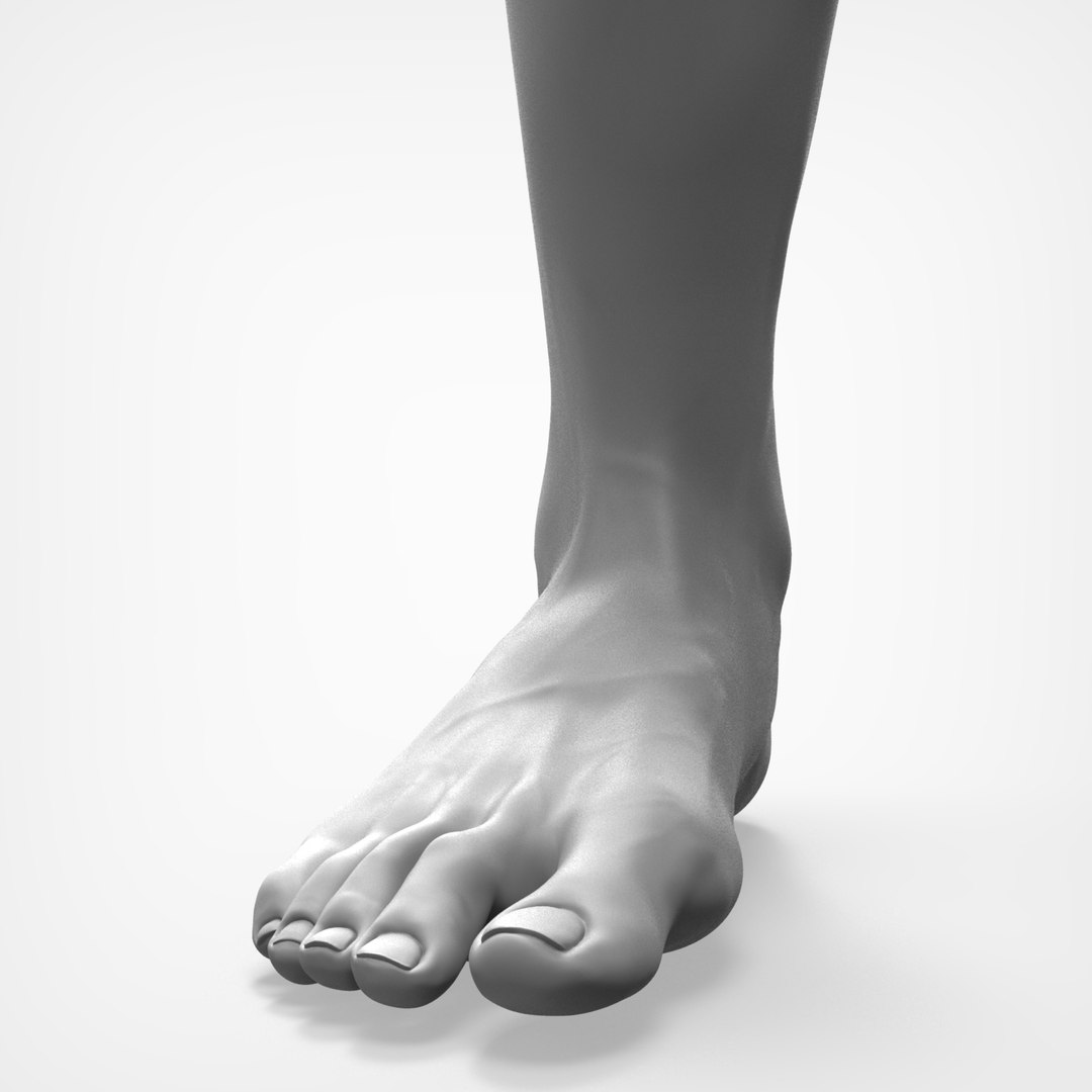 3D Beauty Foot Model - TurboSquid 1218498