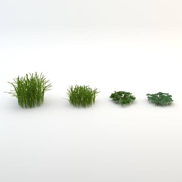 3d grass