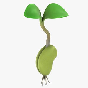 Plants Seed 3D Models for Download | TurboSquid