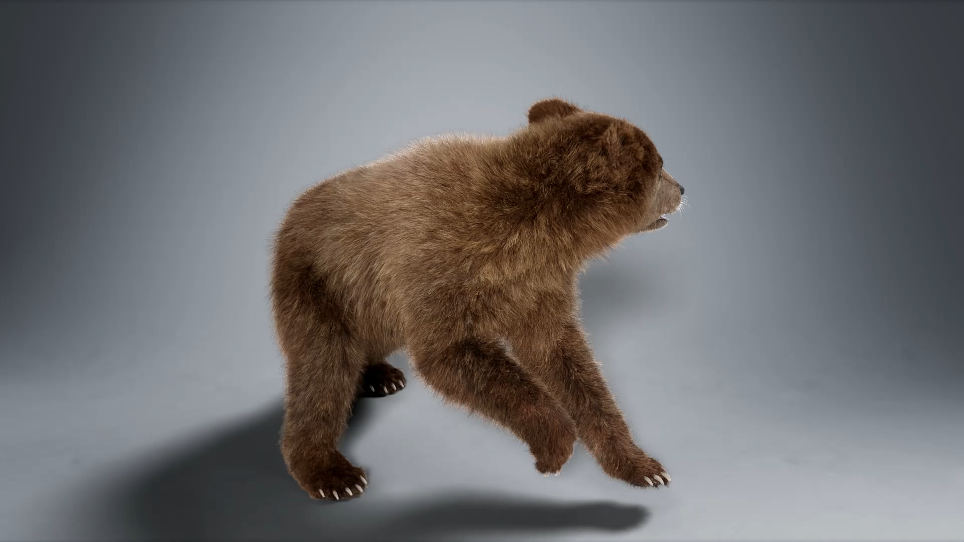 Little Brown Bear Animated 3D Model - TurboSquid 2170316