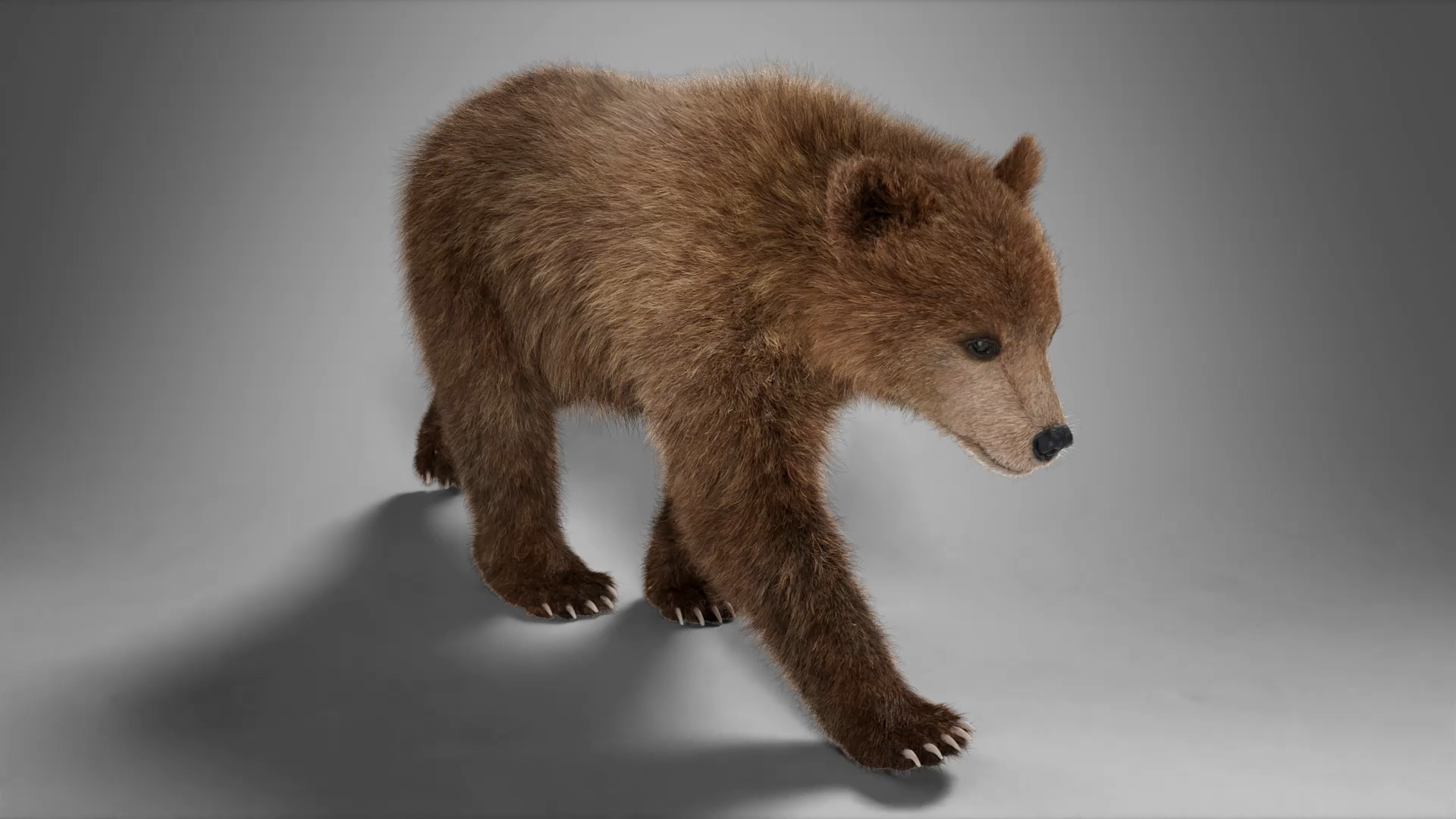 Little Brown Bear Animated 3D Model - TurboSquid 2170316