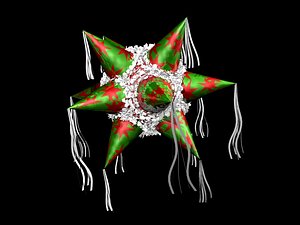 3D Pinata Models - Browse & Download Formats - TurboSquid