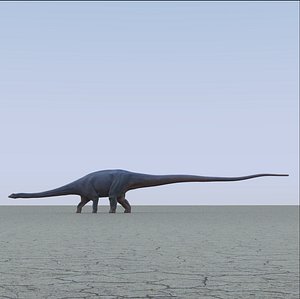 3D Diplodocus Models - Browse & Download Formats - TurboSquid