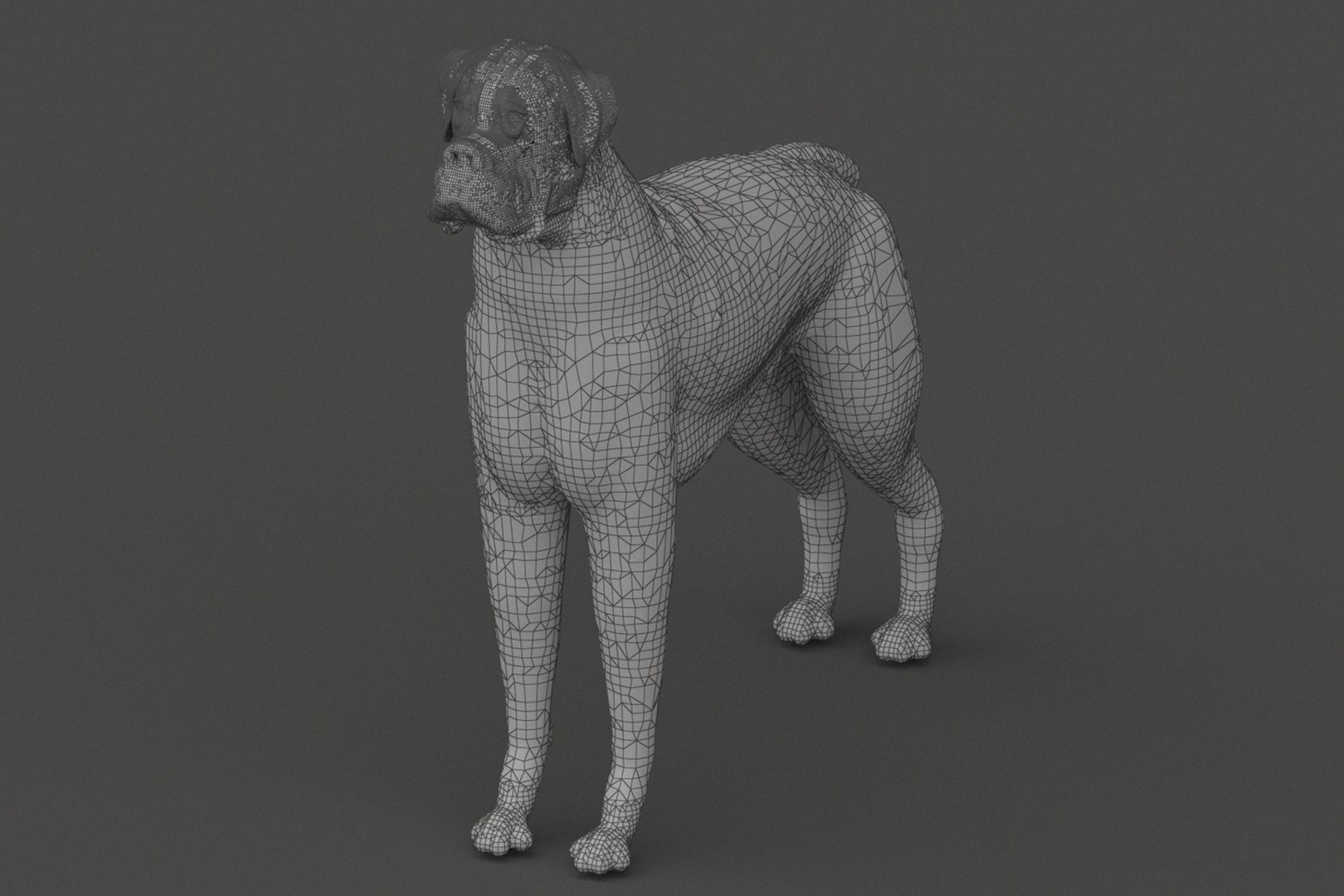 3D Boxer -Dog - TurboSquid 2030077