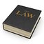 Law Book 3d Model