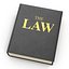 Law Book 3d Model