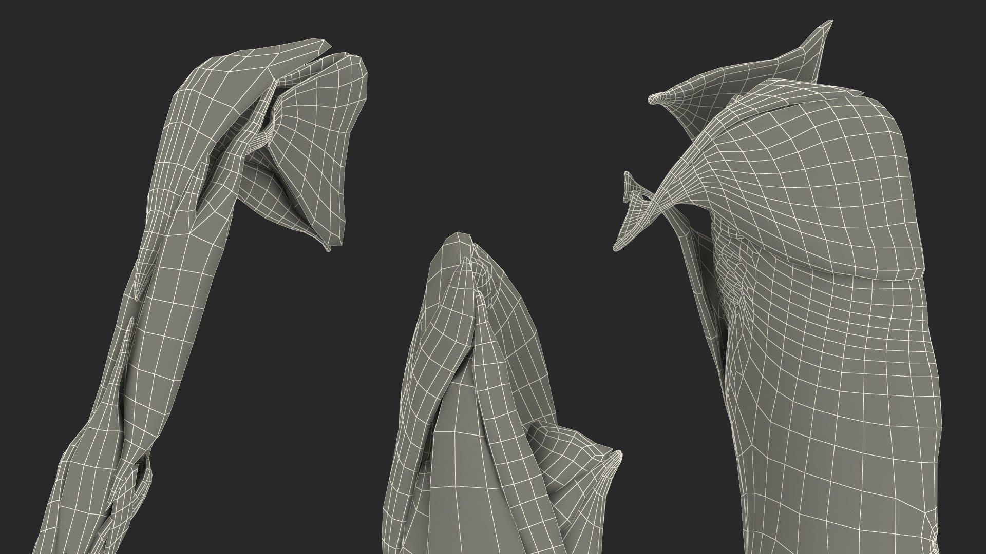 Girl Muscle System 3D model - TurboSquid 1957278