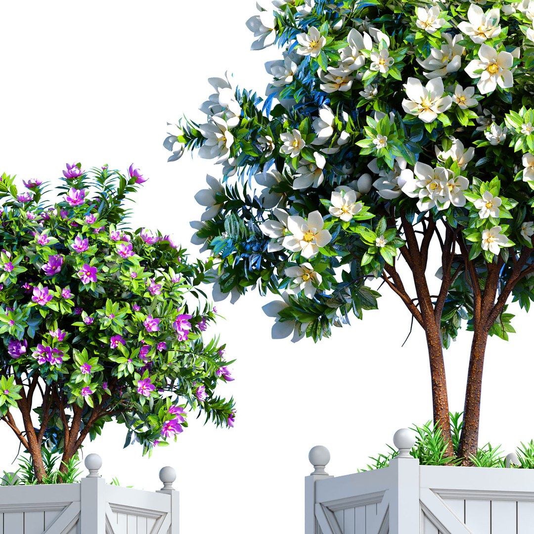 3D Decorative Tree Garden In Planter Pot Decoration Provence Style ...