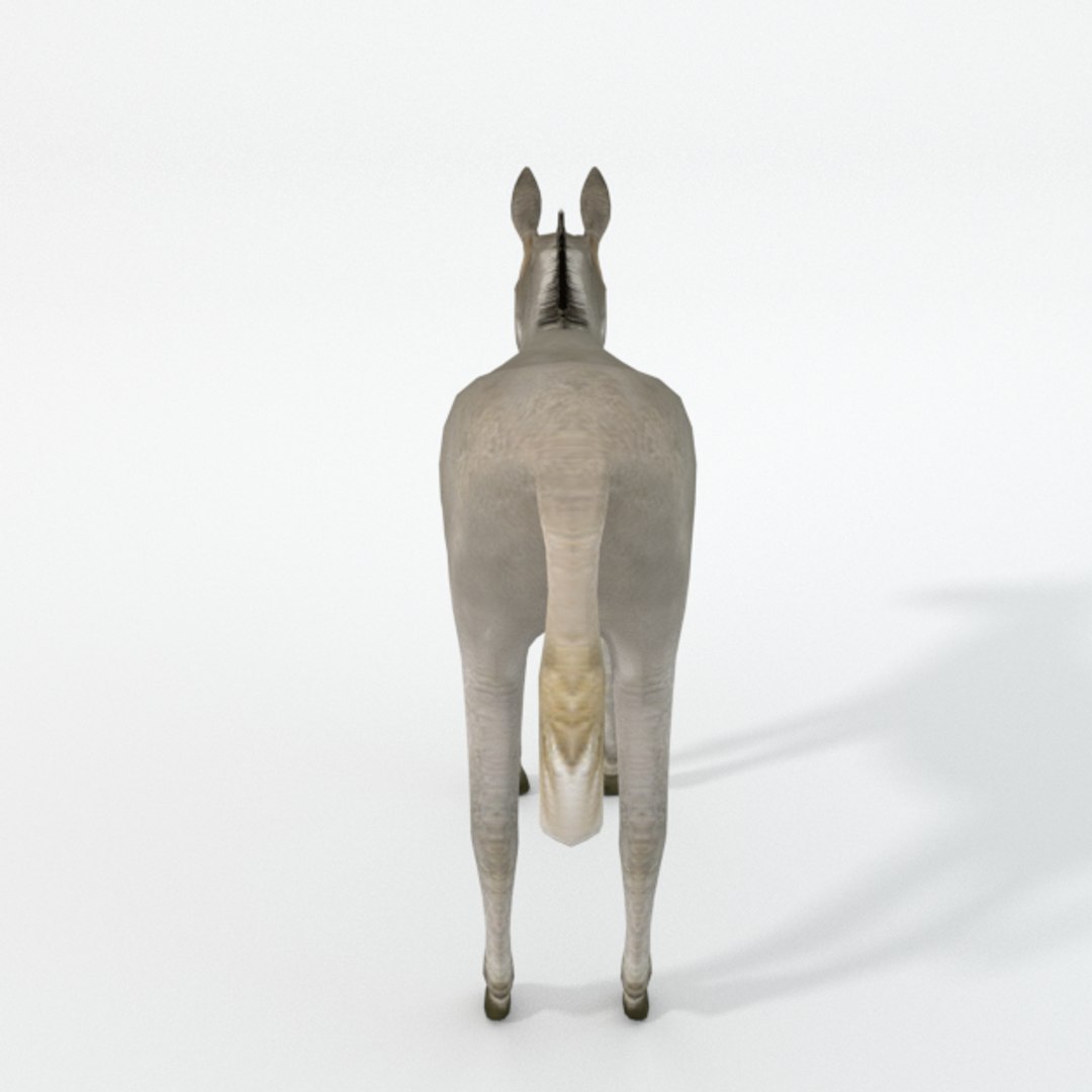 Donkey 3D Model - TurboSquid 1322161