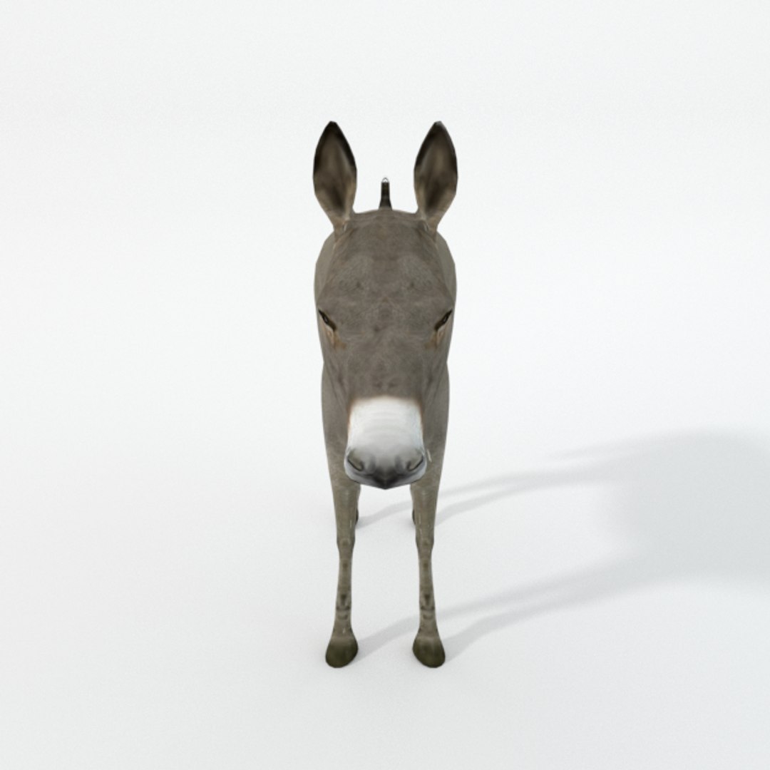 Donkey 3D Model - TurboSquid 1322161