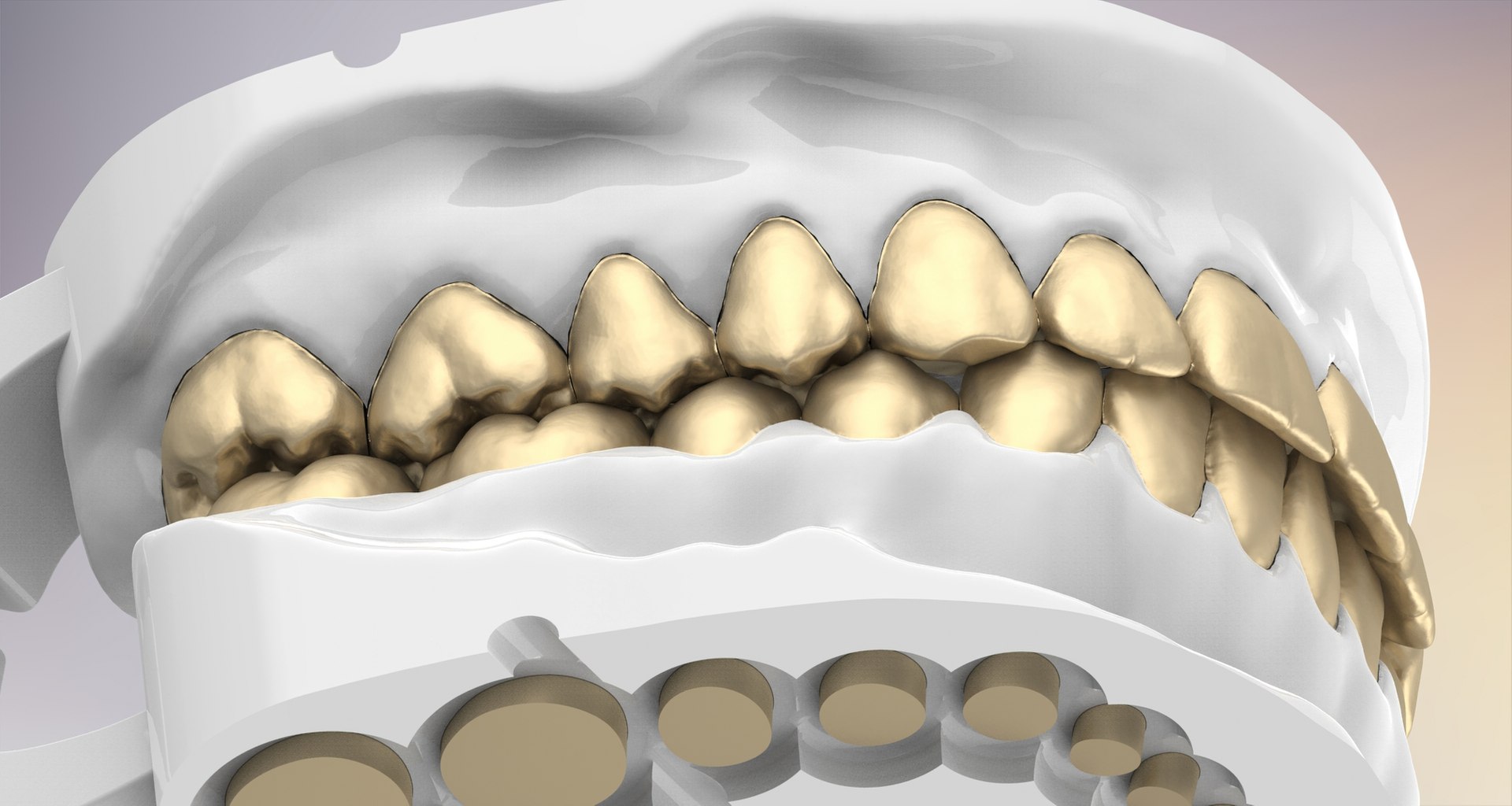 3D Dental Jaws Replica With Detachable Teeth - TurboSquid 2102102