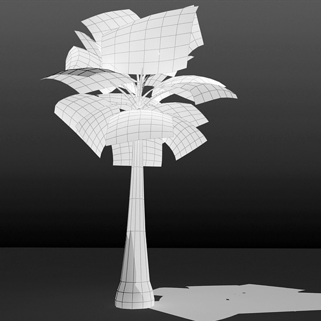 Palm Tree 3d Model