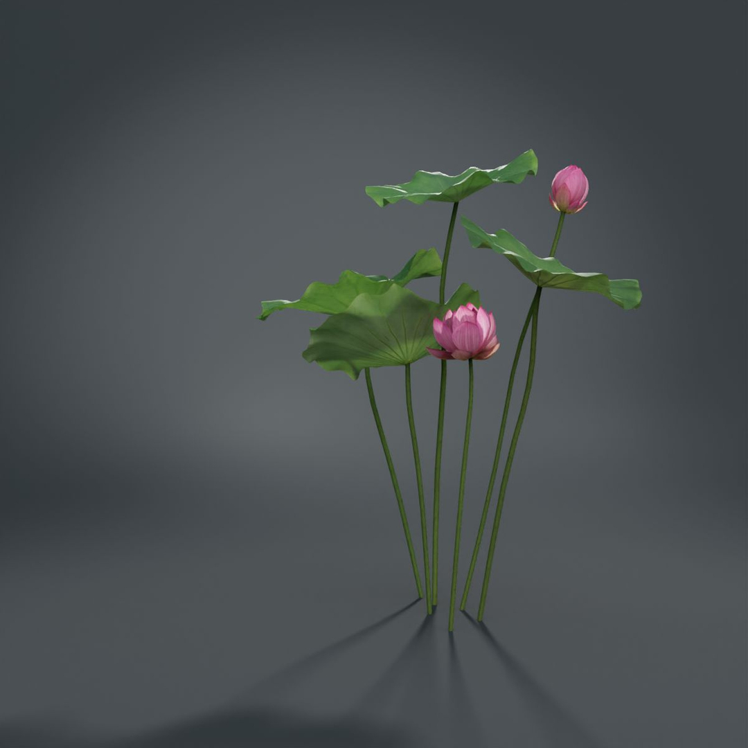 Flower 3D - TurboSquid 1610927